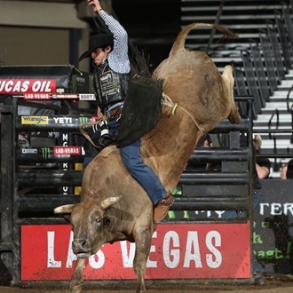 Pbr Bull Smackdown